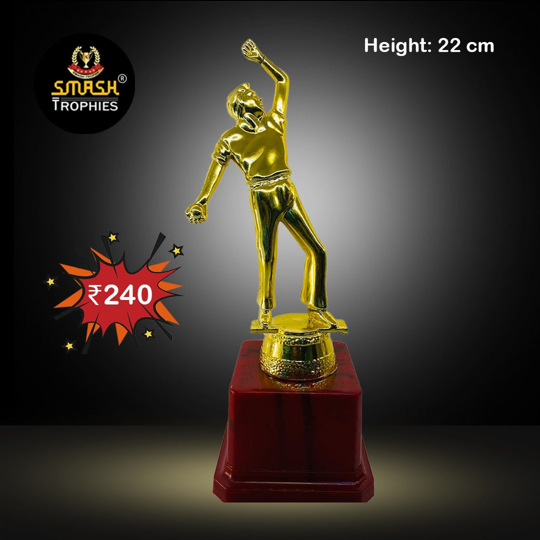 Cricket Individual Awardsrts – SMASH TROPHIES