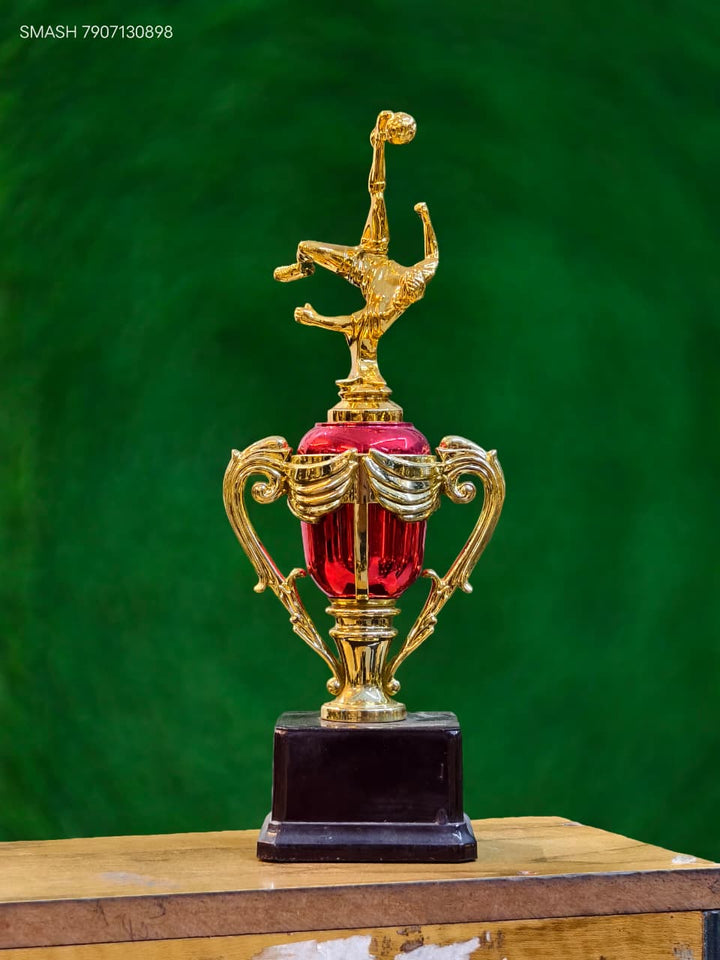 FOODBALL Individual Awardsrts – SMASH TROPHIES