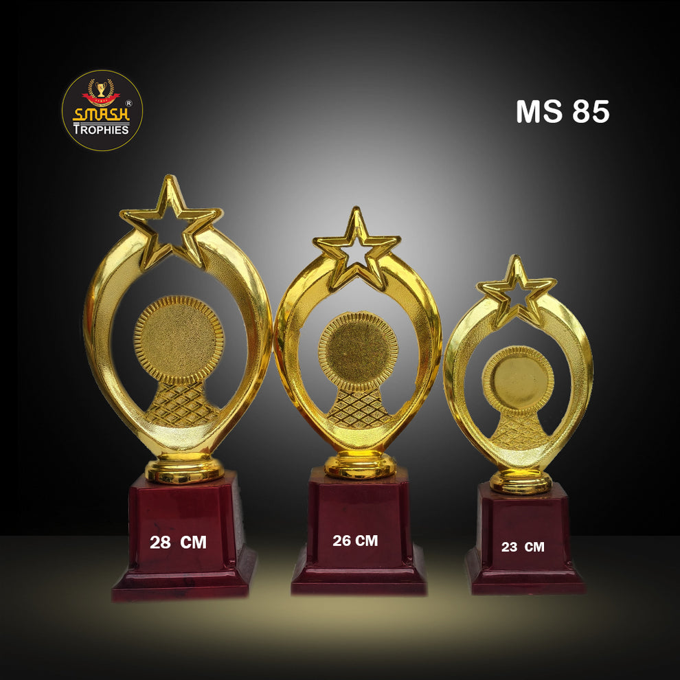 MS 85 LMS – SMASH TROPHIES